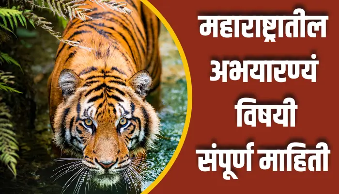 महाराष्ट्रातील अभयारण्यं विषयी संपूर्ण माहिती Maharashtra Abhayaranya Information In Marathi ...